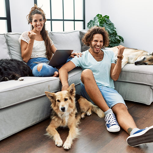 Petly - Hyde Park Veterinary Hospital